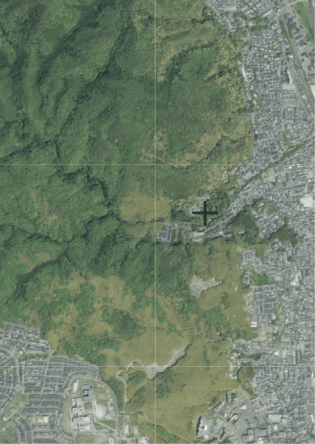 The Genii Locorum of Saihoji （Second Part）Yanase Hiroichi | into Saihoji