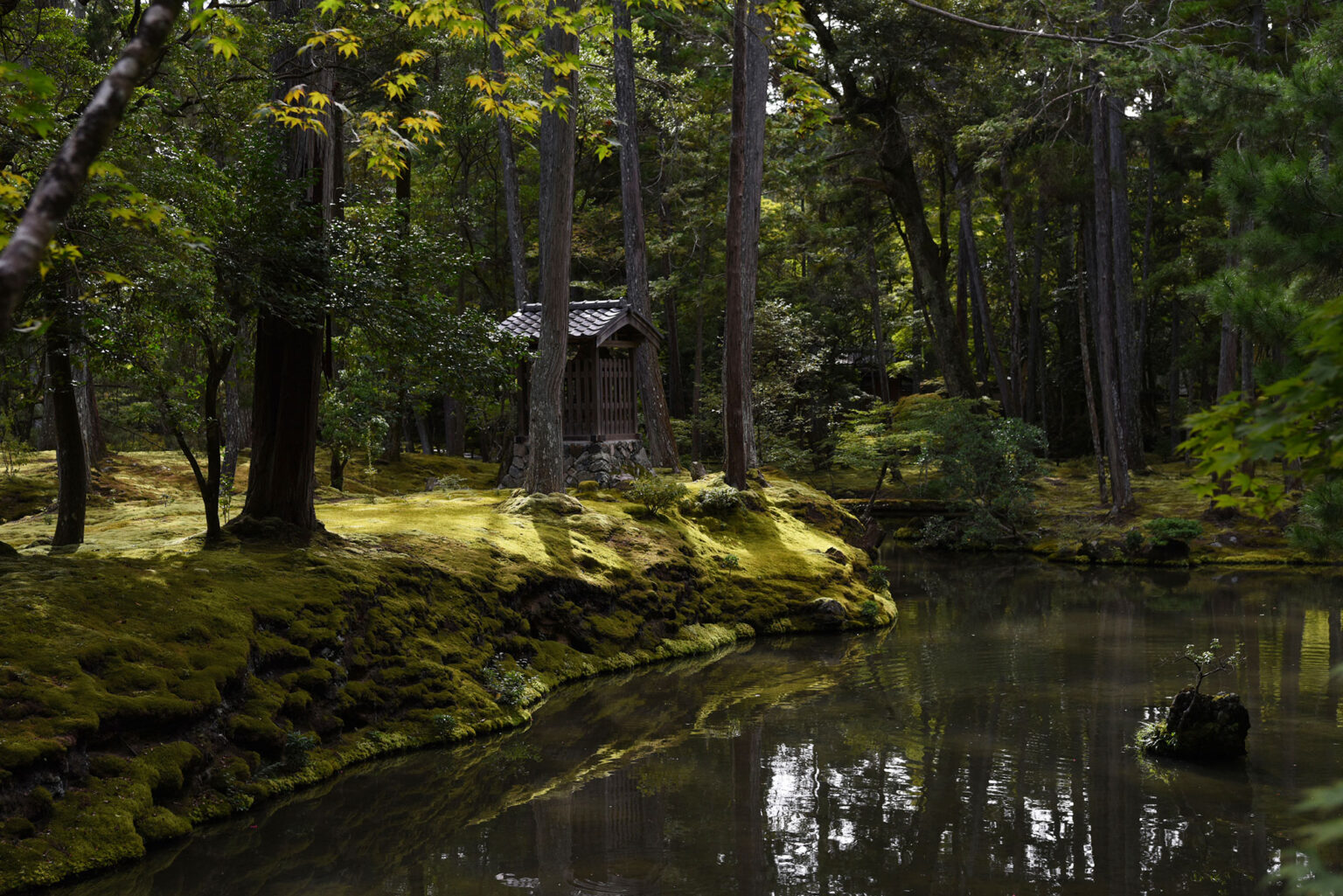 The Genii Locorum of Saihoji （First Part）Matsuda Noriko & Mitachi ...
